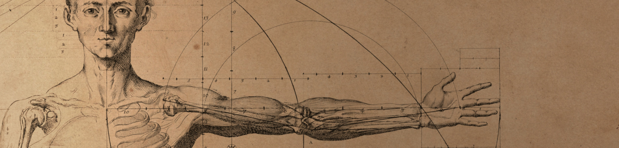 Bodies | School of Anthropology & Museum Ethnography