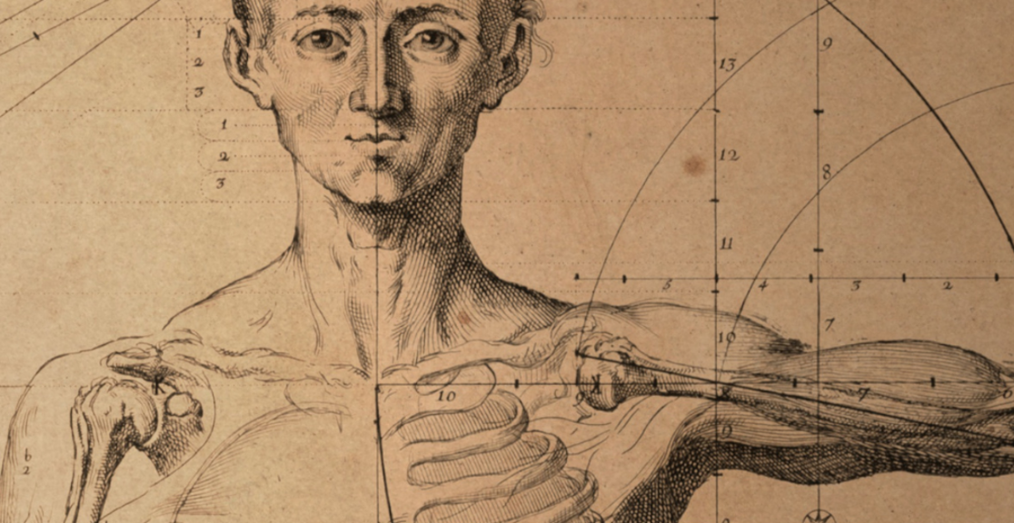 Bodies | School of Anthropology & Museum Ethnography