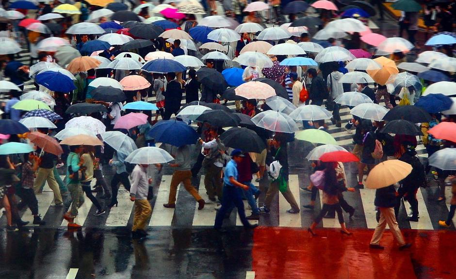 MSc in Migration Studies | School of Anthropology & Museum Ethnography