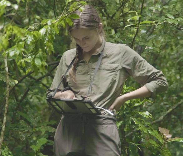 Study reveals chimpanzees seek out medicinal plants to treat illness ...